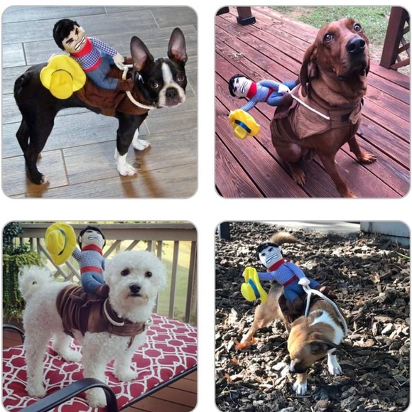 Dog | Bucking Bronco Dog Costume | Poshmark